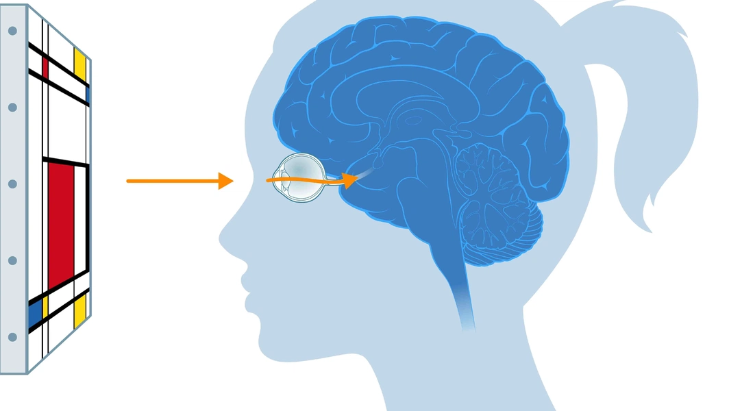 Optical illusions and the science of perception
