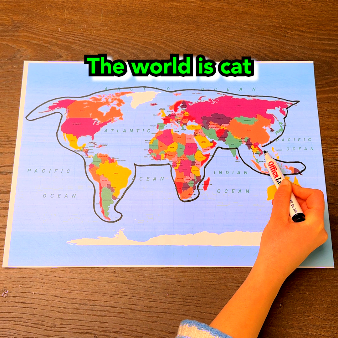 Glem kontinenter, vi har en katinent! 🌍🐾