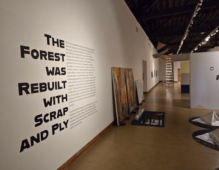 Learn about Wiregrass Museum of Art’s latest exhibit at artist talk