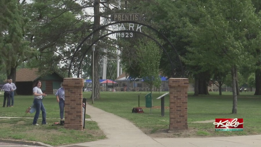 Liberty Tree takes root in Vermilion for America’s 250th