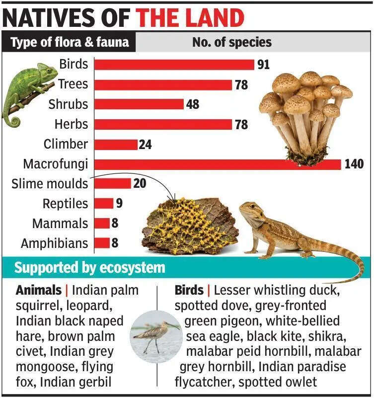 Study finds Goa’s coastal plateau ecosystems thriving with biodiversity