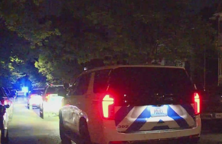 Teens detained after attempted car break-ins in Tower Grove South
