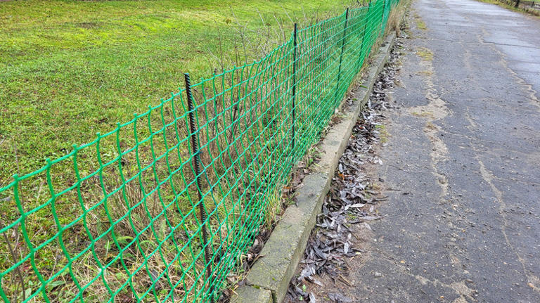 Keep snakes from slithering into your yard with a DIY solution