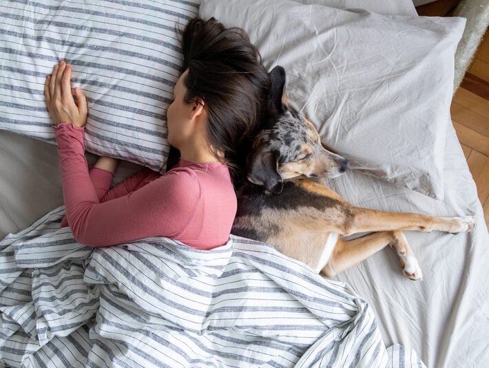 Você adora dormir com seu animal de estimação? Segundo a ciência, há ...