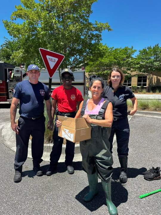 'No job too small': Central Berkeley Fire & EMS rescue ducklings from ...