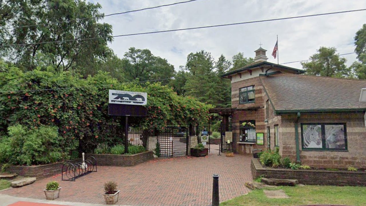 Wolf dies at Indiana zoo before separate incident involving staff and ...