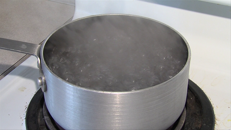 First round of water samples tests negative for E. coli, Elkins mayor says