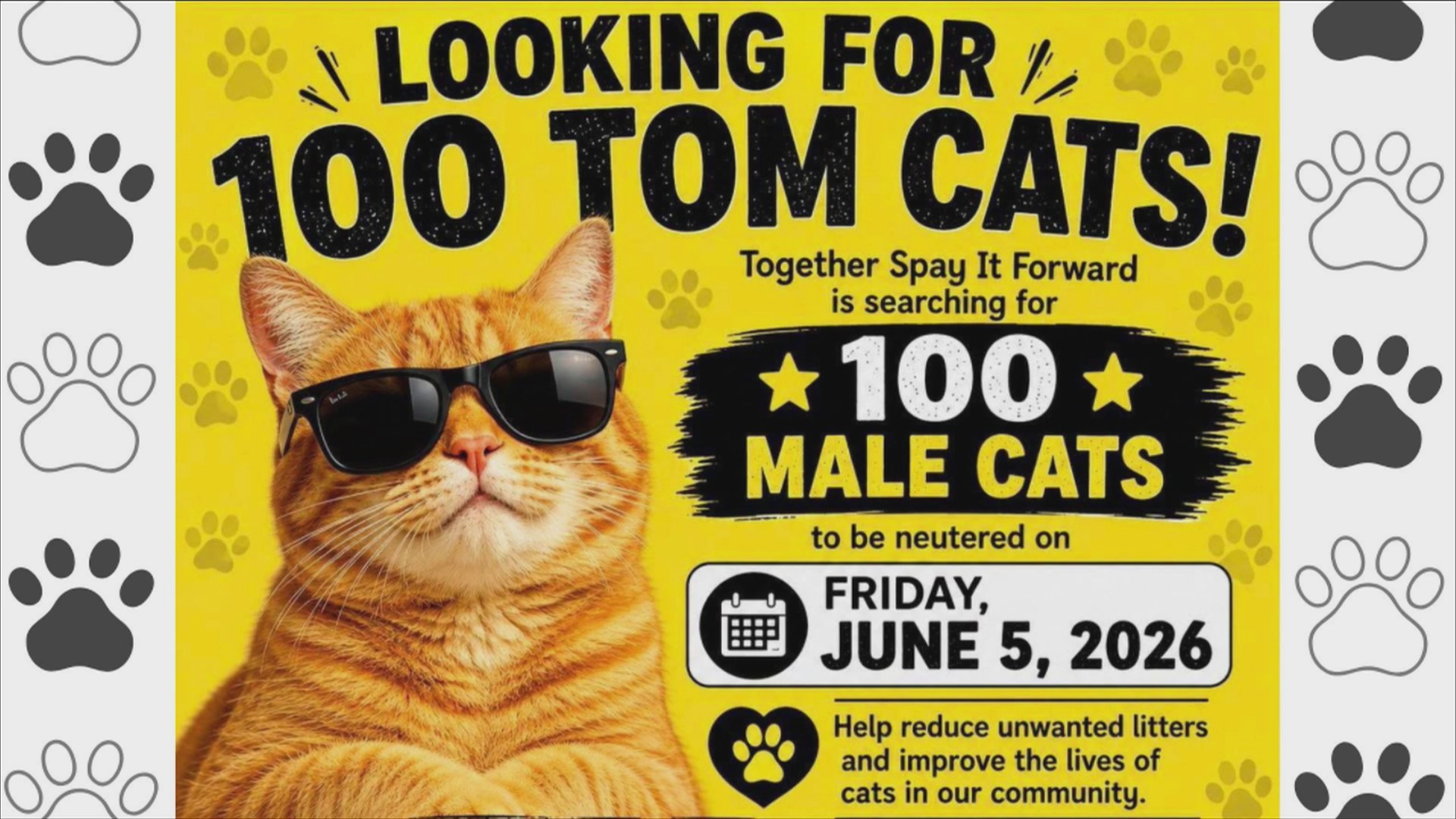 Cat neuter event set for Friday