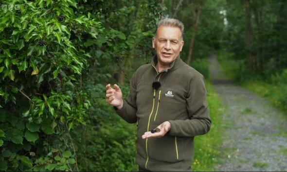 BBC Springwatch viewers say the same thing after Chris Packham's ...