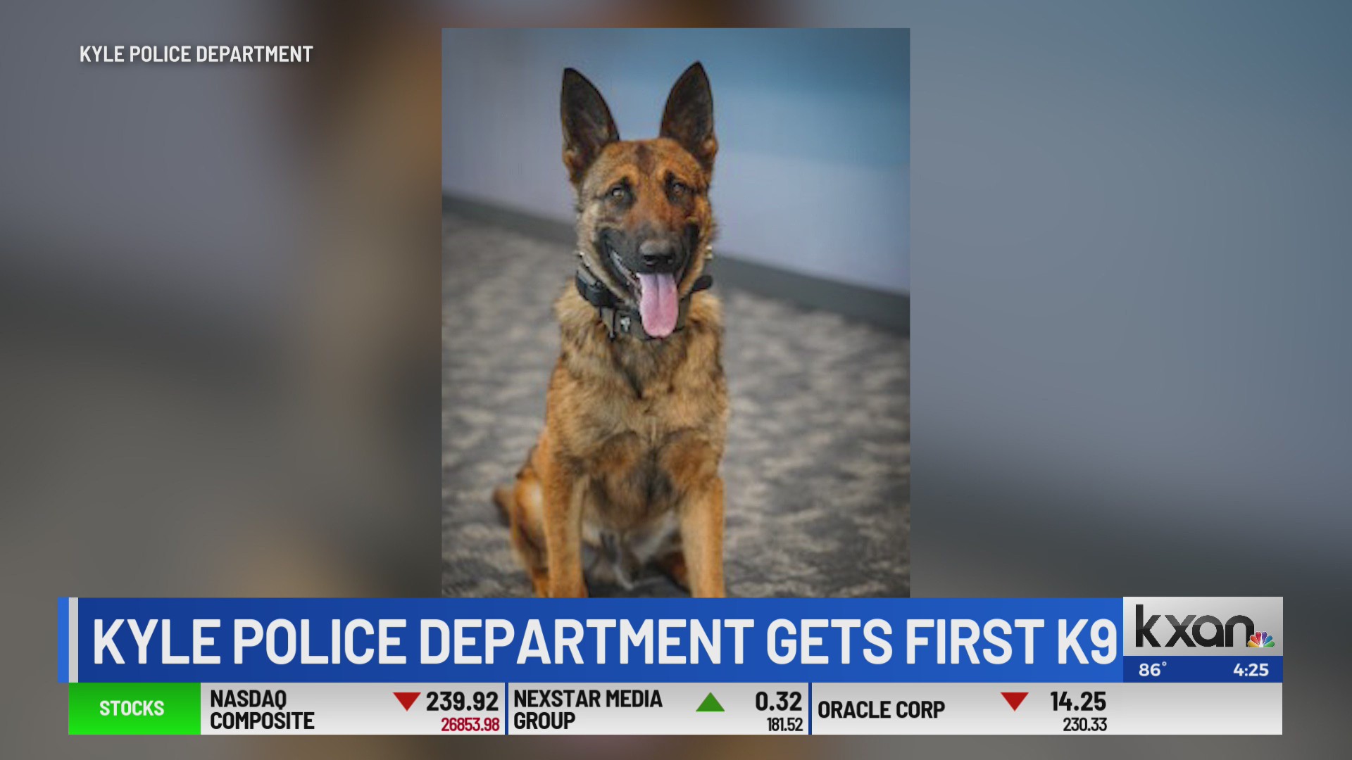 Kyle Police Department gets first K9