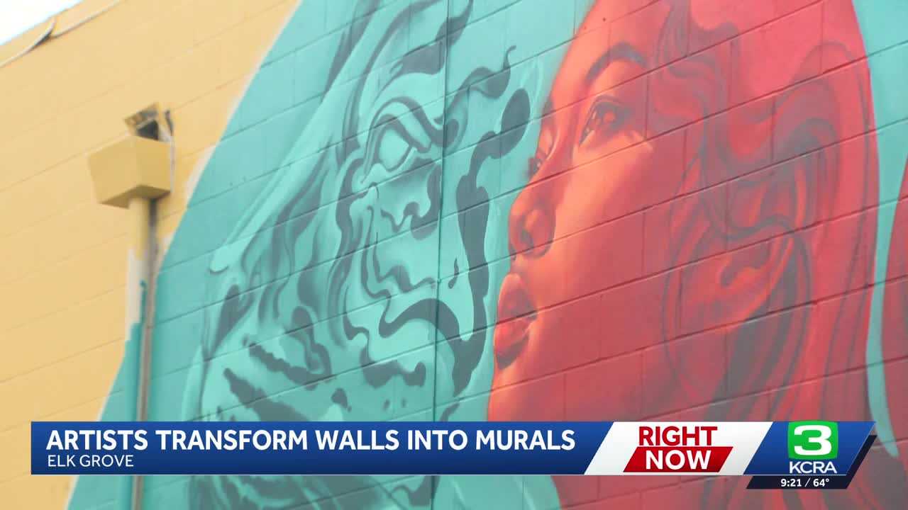 Artists transform walls into murals in Elk Grove