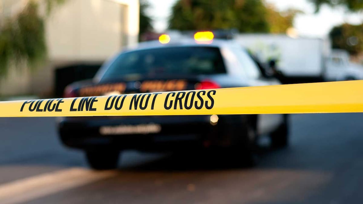 'Nobody's going to survive that.' Arrest made in Florida toll booth ...