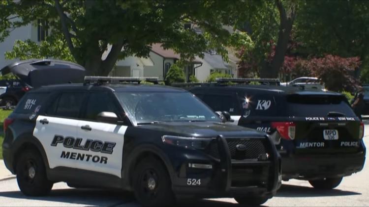 Person detained after hourslong standoff in Mentor which followed hit ...
