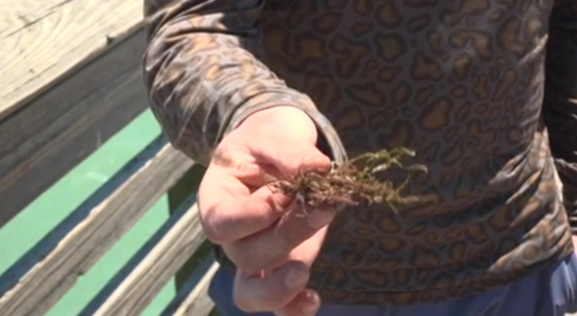 Red substance in ocean disrupts fishing, swimming along Grand Strand
