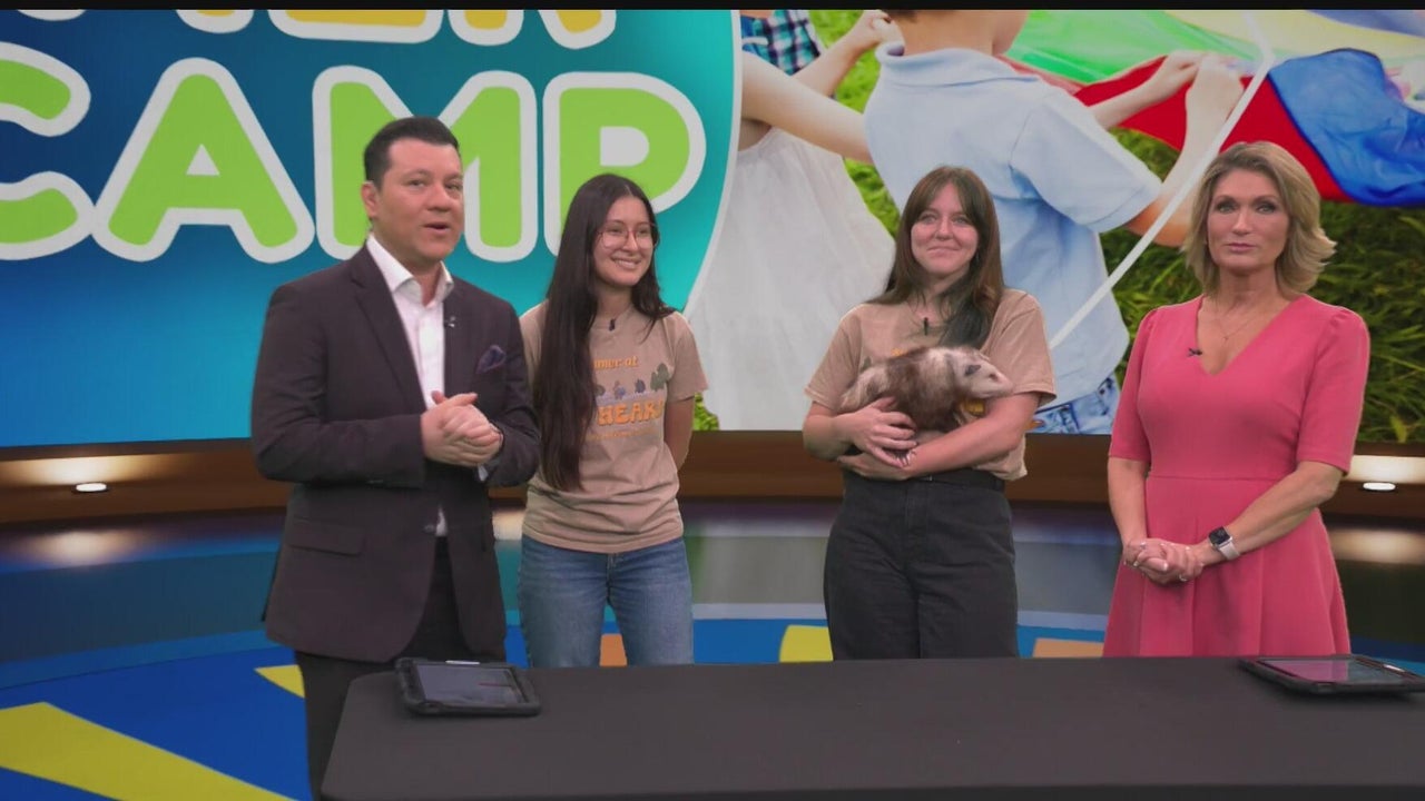 Heard Museum spotlights summer camps with Kimmy the blind possum