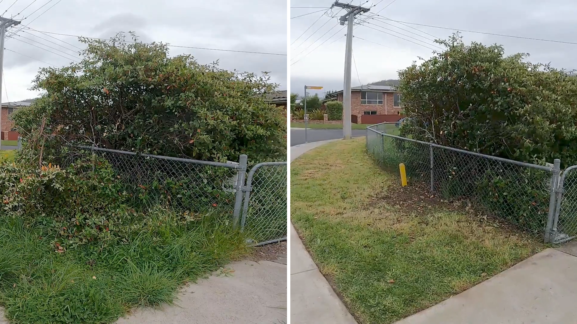 I transformed this overgrown garden 🌿