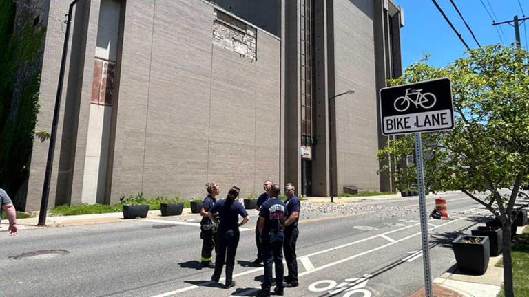 Bricks fall from building onto Youngstown road