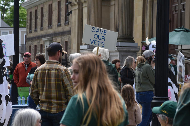 With signs and cowbells, New Brunswick farmers protest cuts to ...