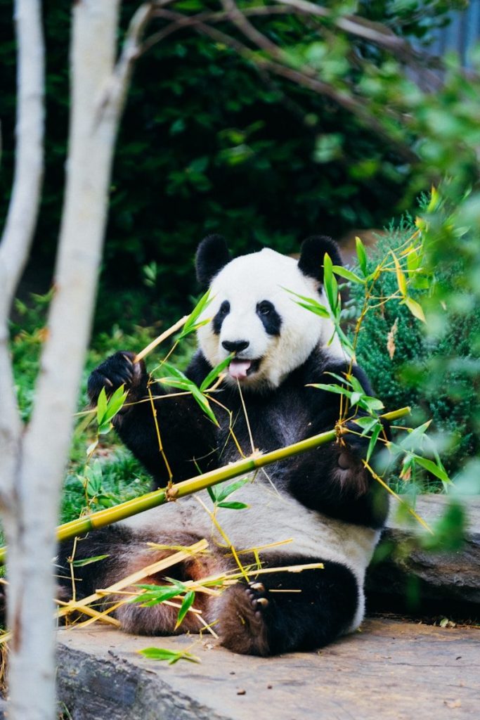 6 harmless-looking animals that can actually kill you