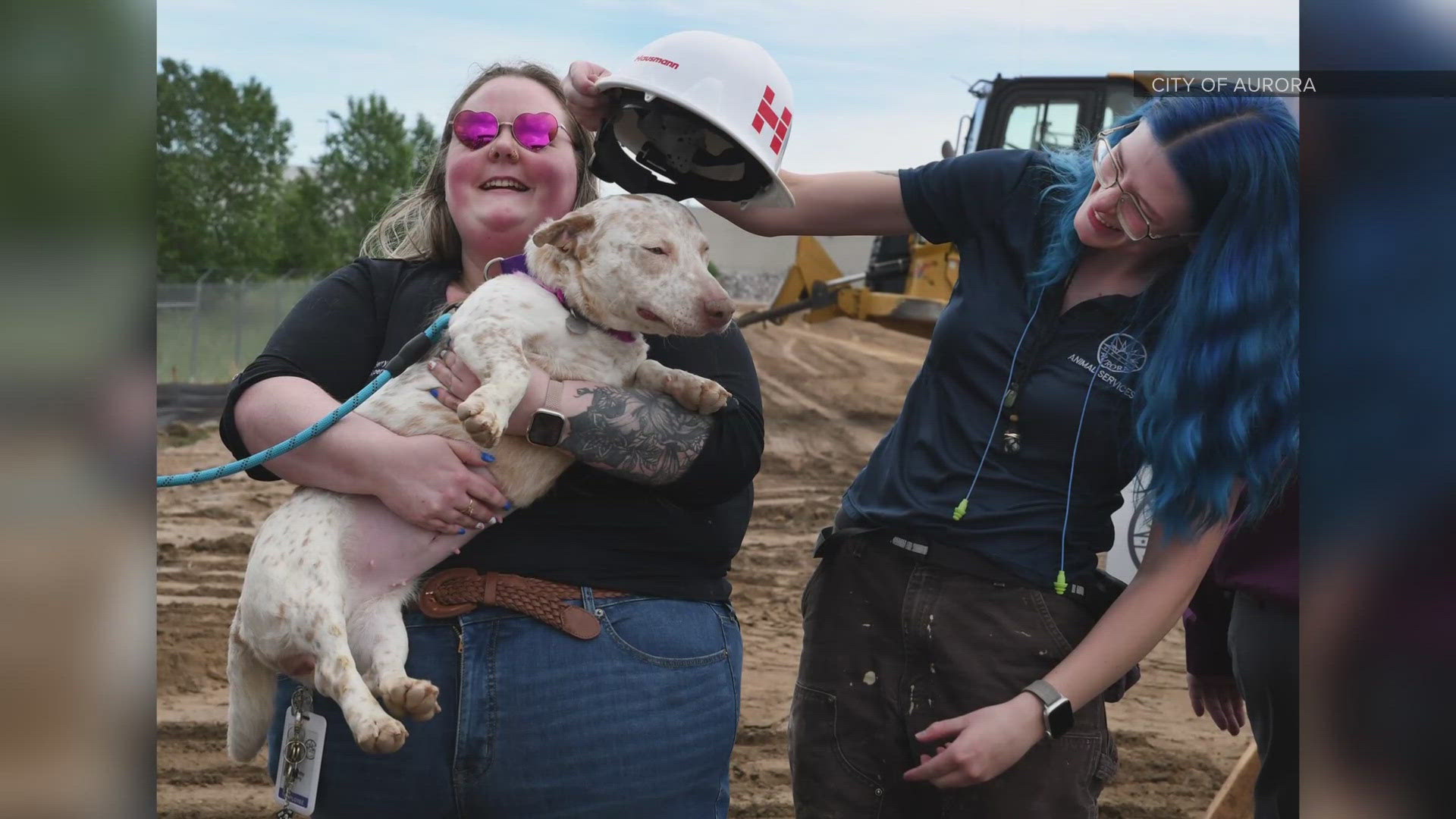 Construction kicks off at new Aurora animal shelter