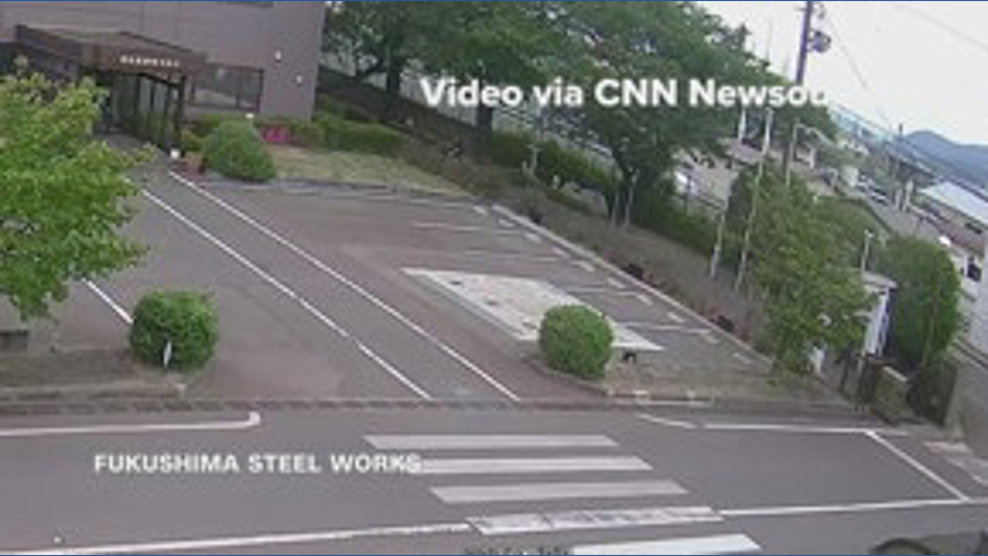 Bear attacks people at factory