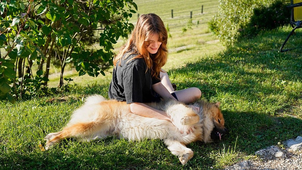 Scientists map 10 core dog emotions to improve care