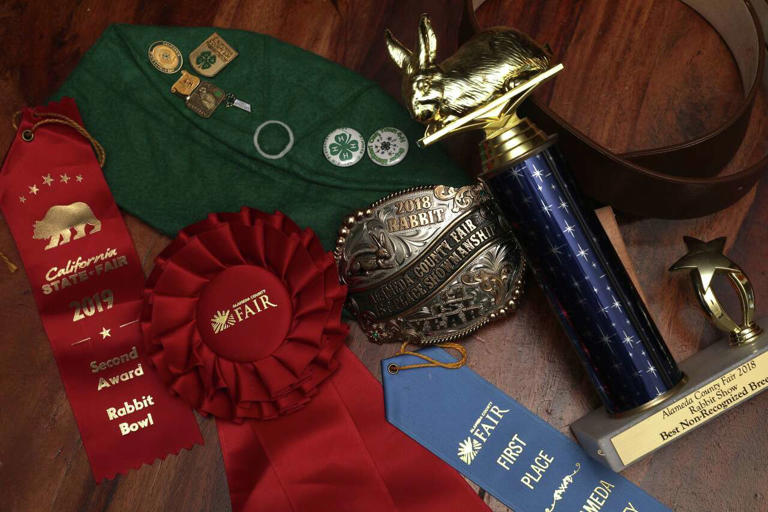 2026 guide to Bay Area county and state fairs this summer