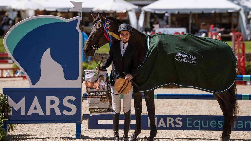 Former claimer Mavis wins Take2 Thoroughbred Jumper Championship