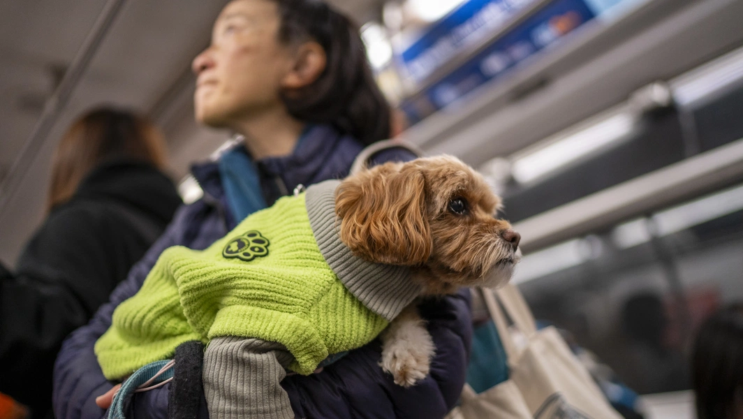9 signs your dog thinks you're their favorite