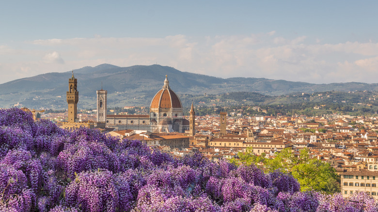 Florence, Italy's 'wasp' problem you're sure to notice on a trip ...