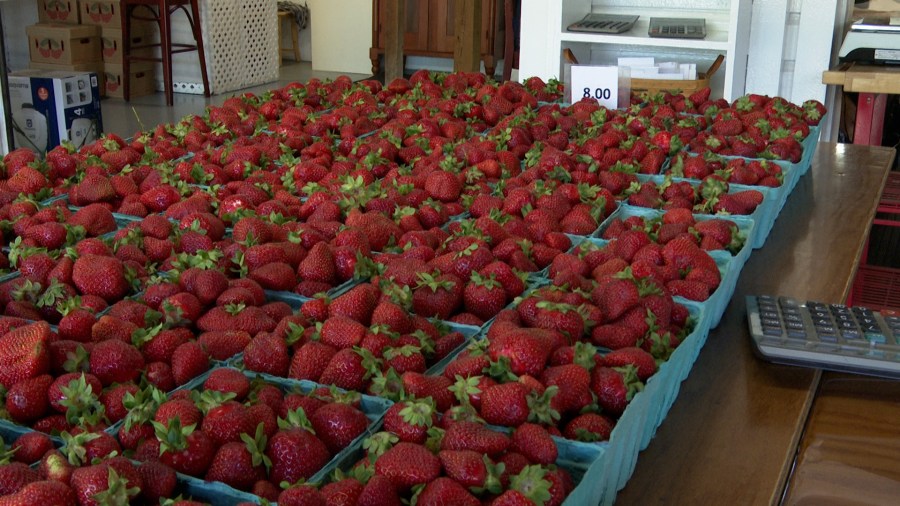 Maryland seniors eligible for discounts at farmers’ markets, stands ...
