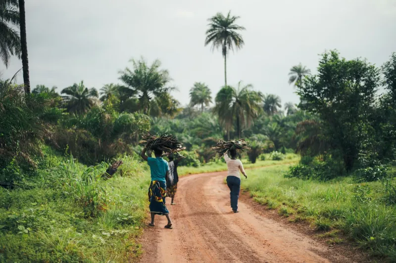 Wilmar forms 50:50 joint venture with TGI Group in West Africa