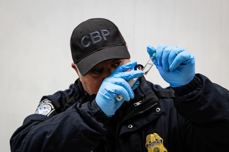 Trump signs order directing customs crackdown amid trade gaps