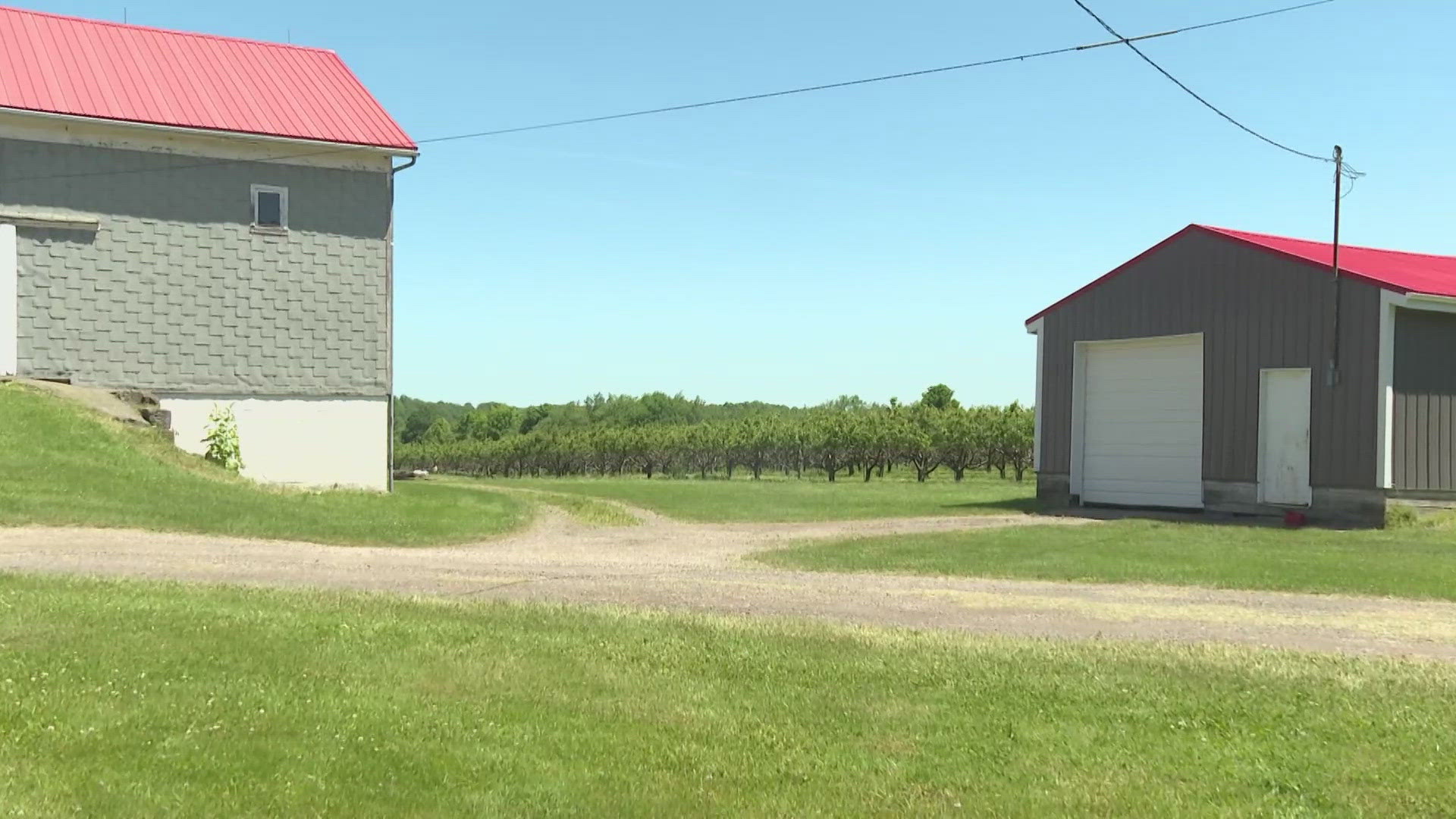 Northeast Ohio farm struggles with crops after hard spring freezes