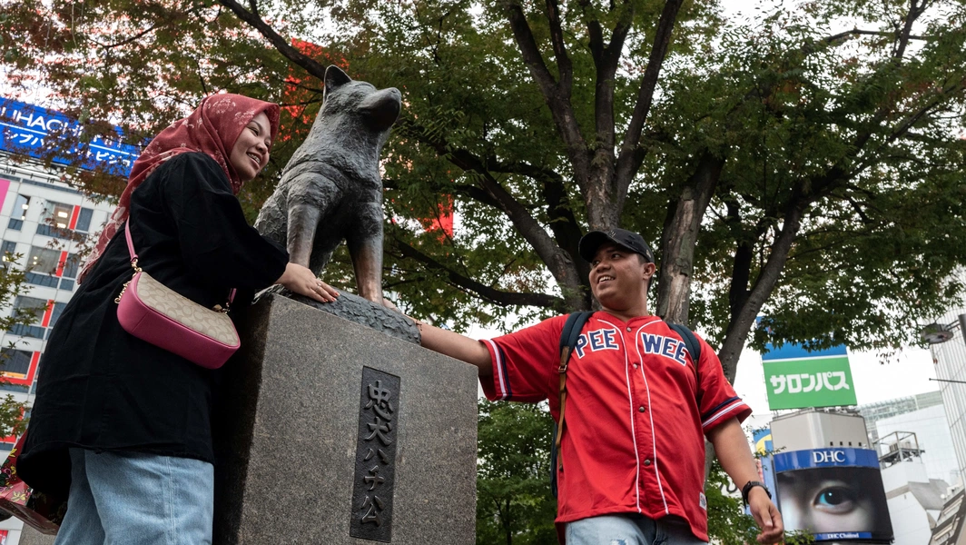 8 dog breeds known for unwavering loyalty