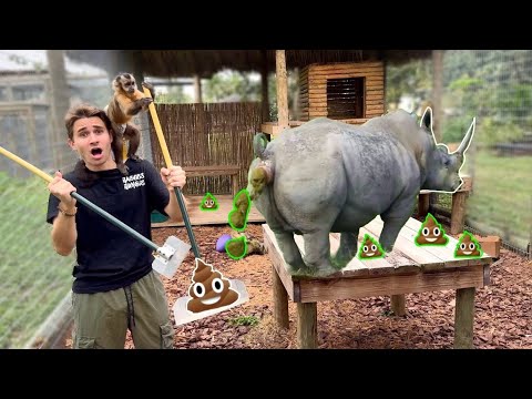 Poop scooping all my animals! How much did we find?