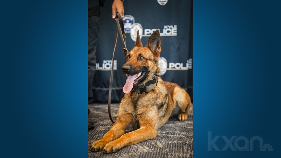 Central Texas law enforcement agencies keep adding K9 officers; Kyle PD ...