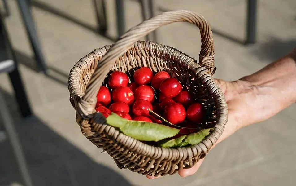 Smart food swaps to keep gout away
