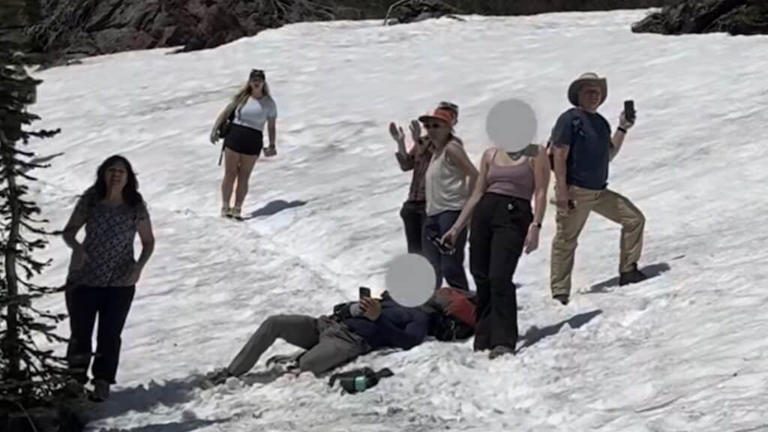 Surprise grizzly bear attack injures hiker on popular Glacier National ...