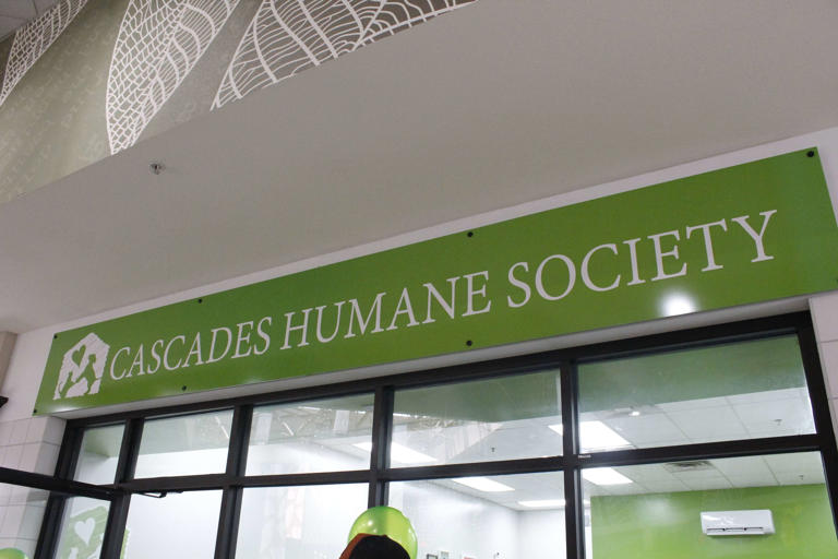 Cascades Humane Society opens new location inside Jackson Crossing mall