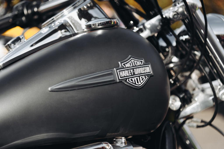 Robby Starbuck renews Harley-Davidson boycott call over alleged 'woke ...