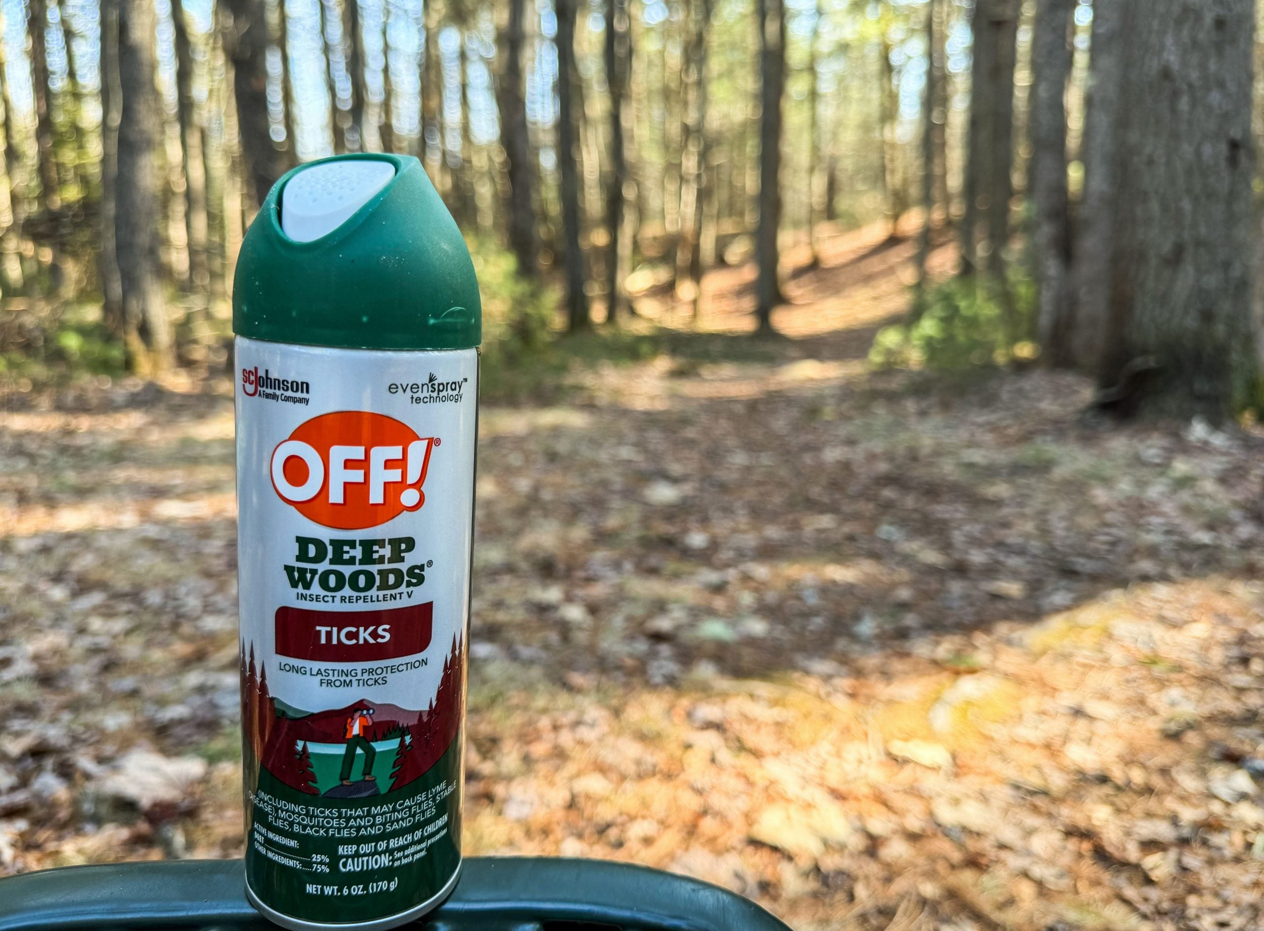 Summer pest problems? Here's how to spot and get rid of common ...