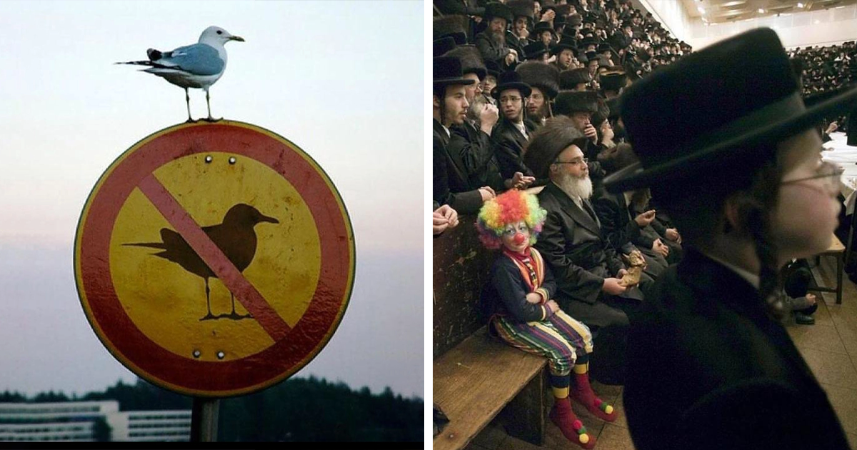 33 images that are so cool and unusual they could work as album covers