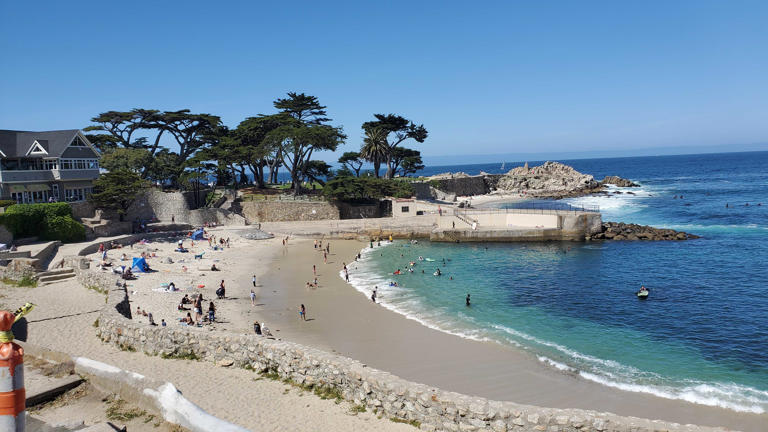 Lover’s Point Beach closes after dead whale is found