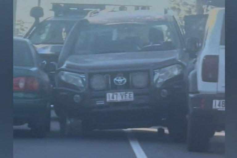 Footage captures dramatic arrest of alleged car thieves