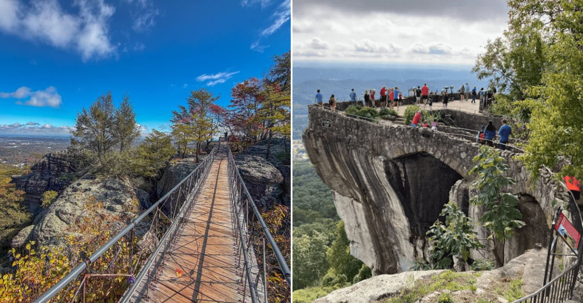 This whimsical Georgia mountain trail turns an ordinary family walk ...