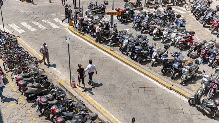 Florence, Italy's 'wasp' problem you're sure to notice on a trip ...