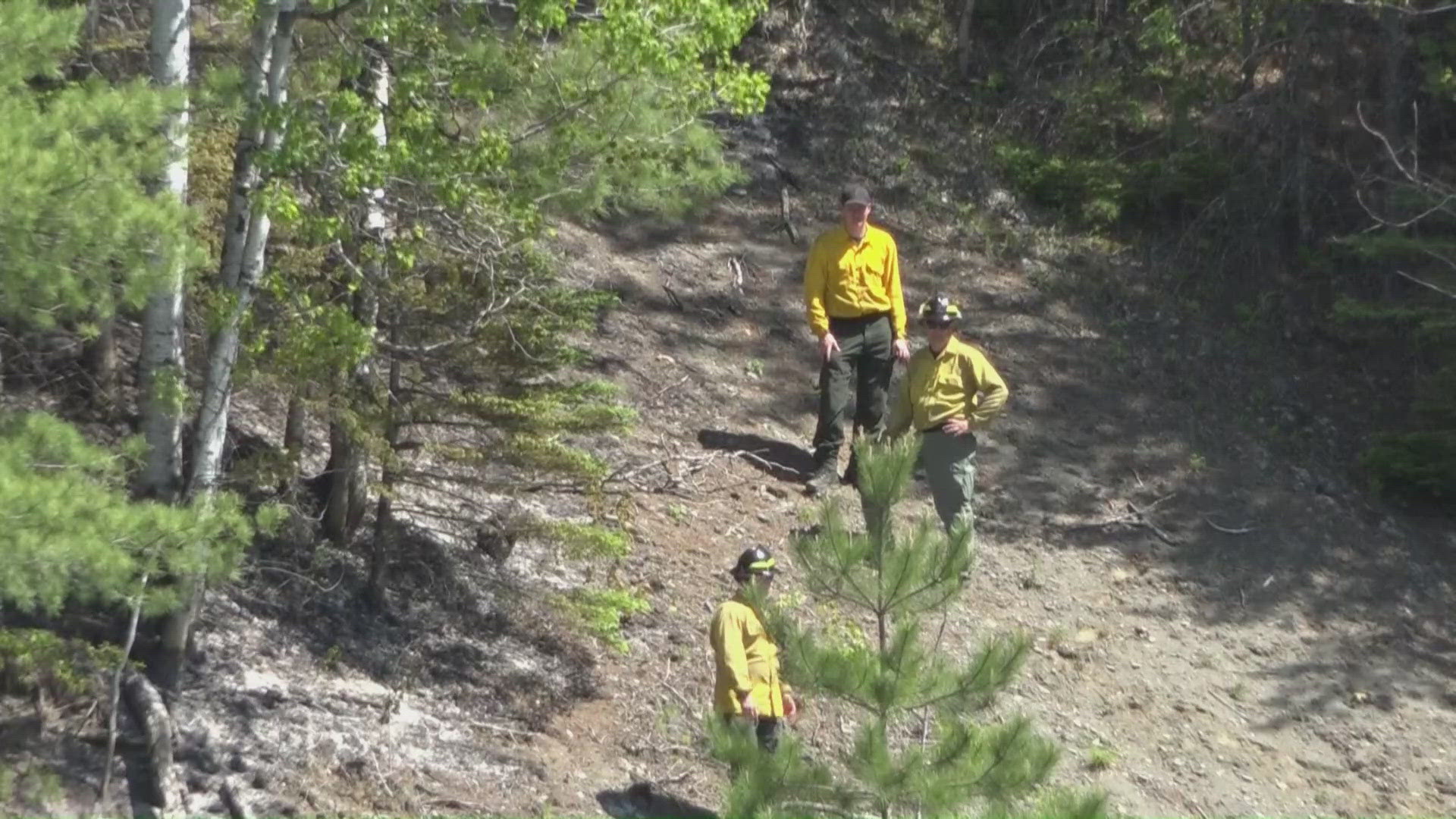 Dover-Foxcroft wildfire burns nearly three acres of woods