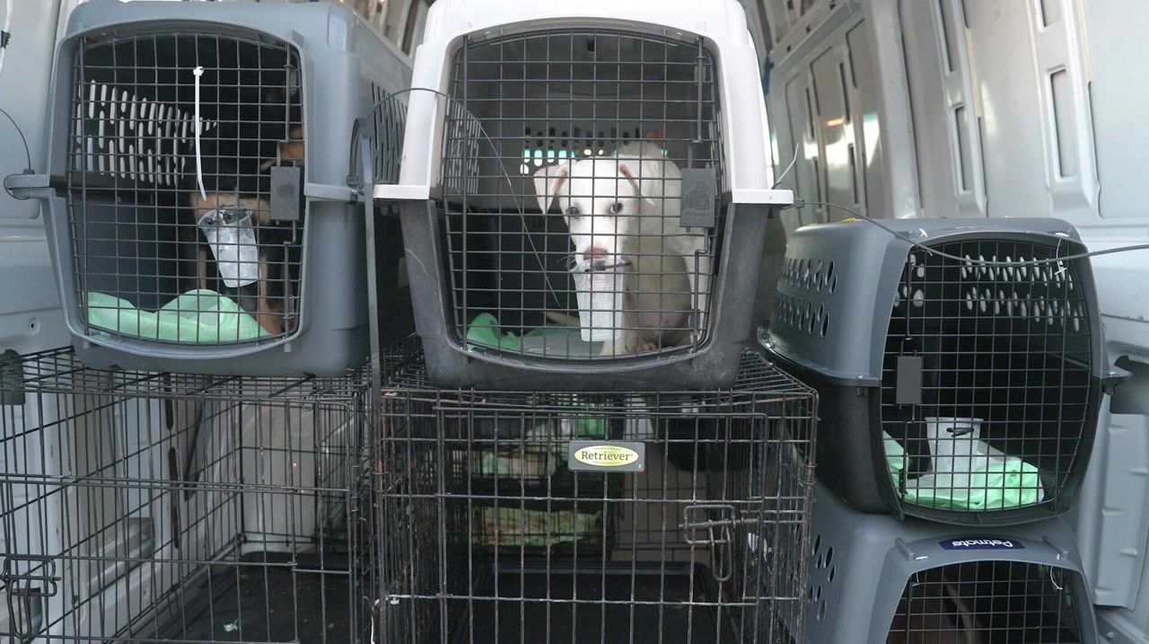 Houston budget needs more BARC funding