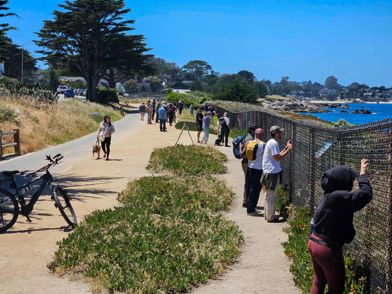 Photos: Dead whale prompts beach closure
